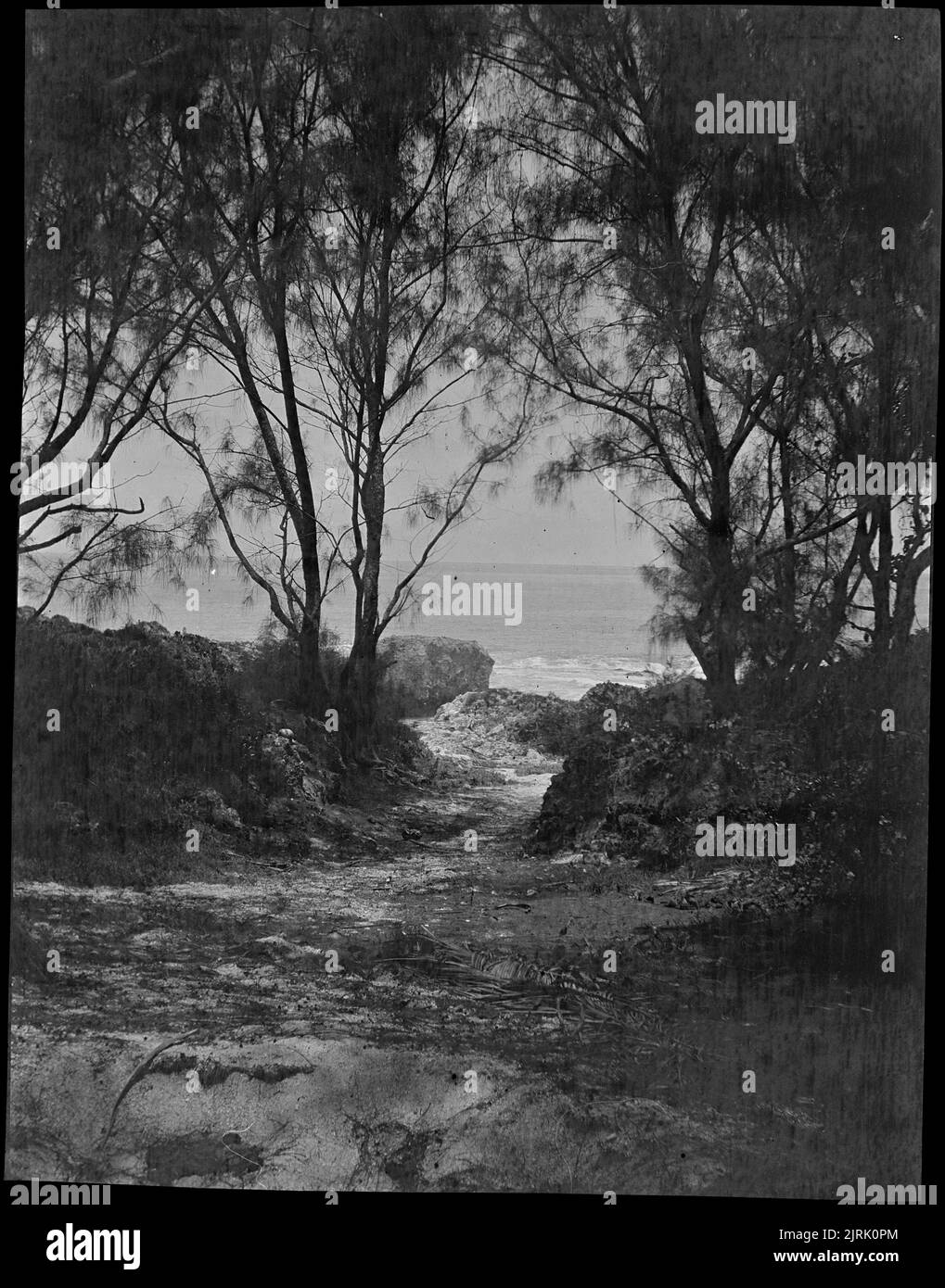 Mauke mauke hi-res stock photography and images - Alamy