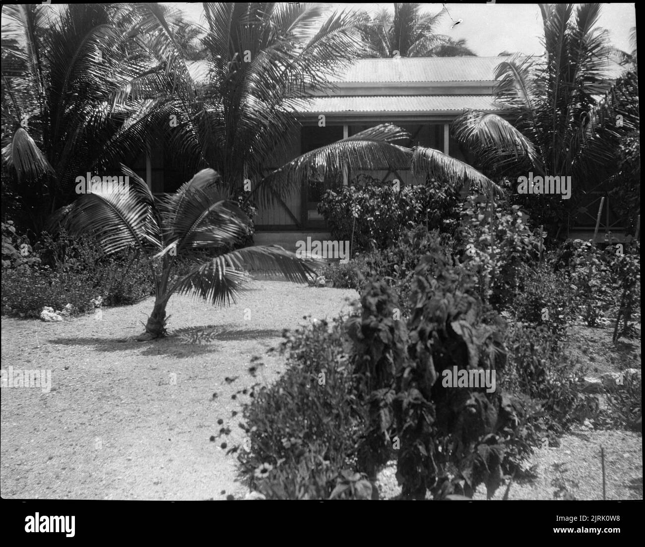 Mauke mauke hi-res stock photography and images - Alamy