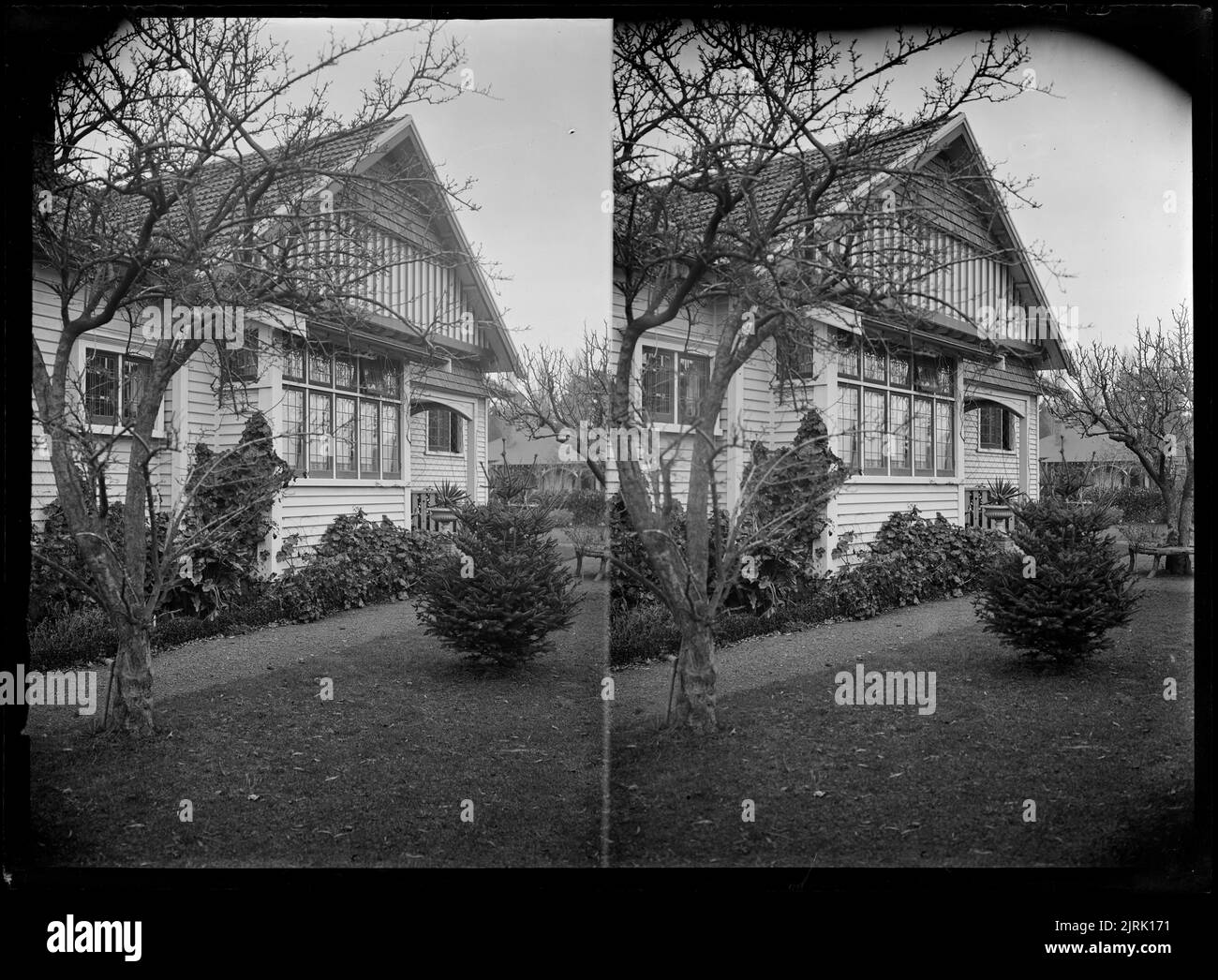 House with tree at left, 1900-1917, Dannevirke, by Alfred Henderson Stock Photo - Alamy