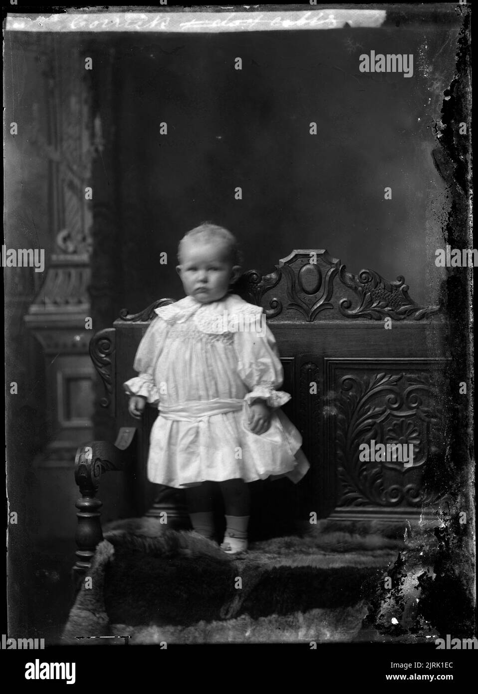 Baby on chair with fur, 1900-1917, New Zealand, by Alfred Henderson Stock Photo - Alamy