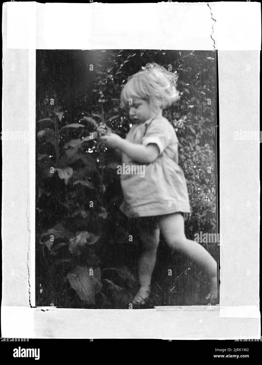 Chapman young hi-res stock photography and images - Alamy