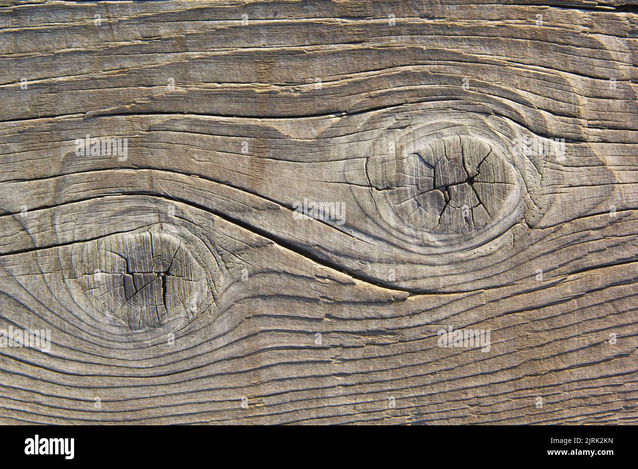 Old cut surface hi-res stock photography and images - Alamy