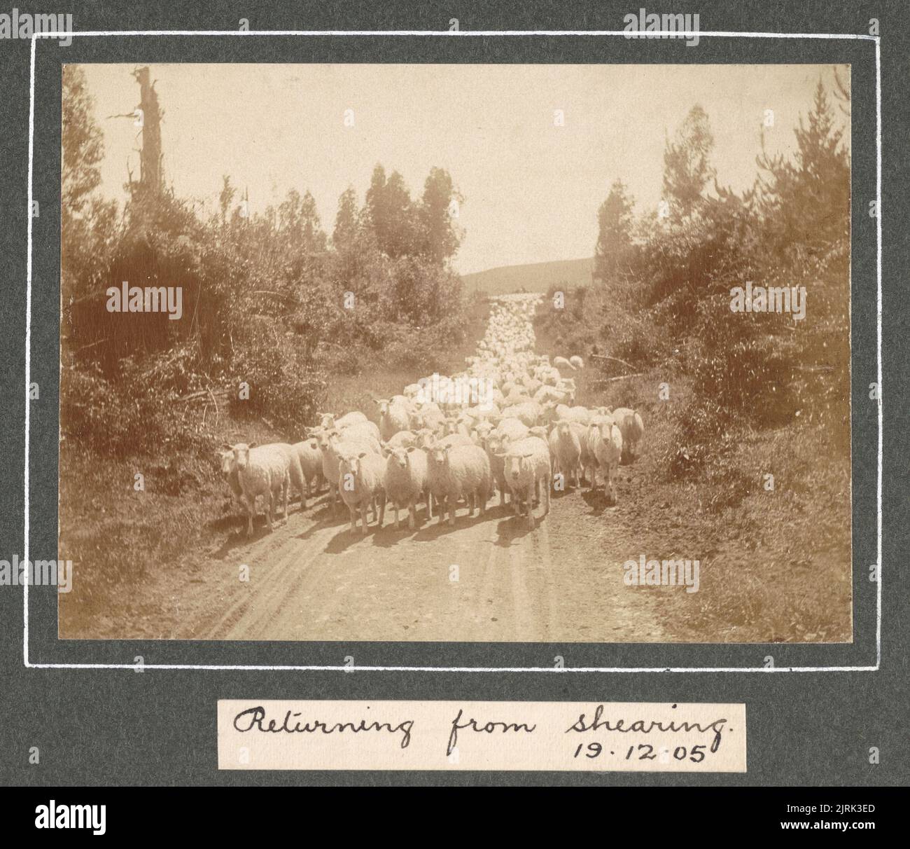 Relieving from shearing hi-res stock photography and images - Alamy