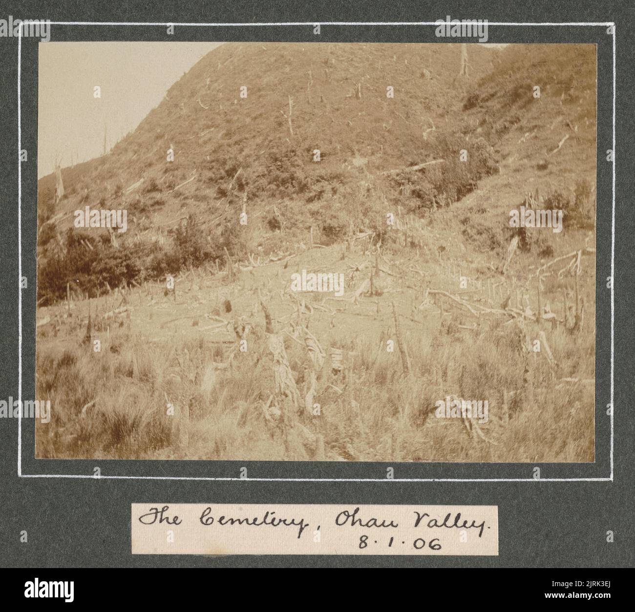 At Levin: The Cemetery, Ohau Valley, 8 January 1906. From the album ...