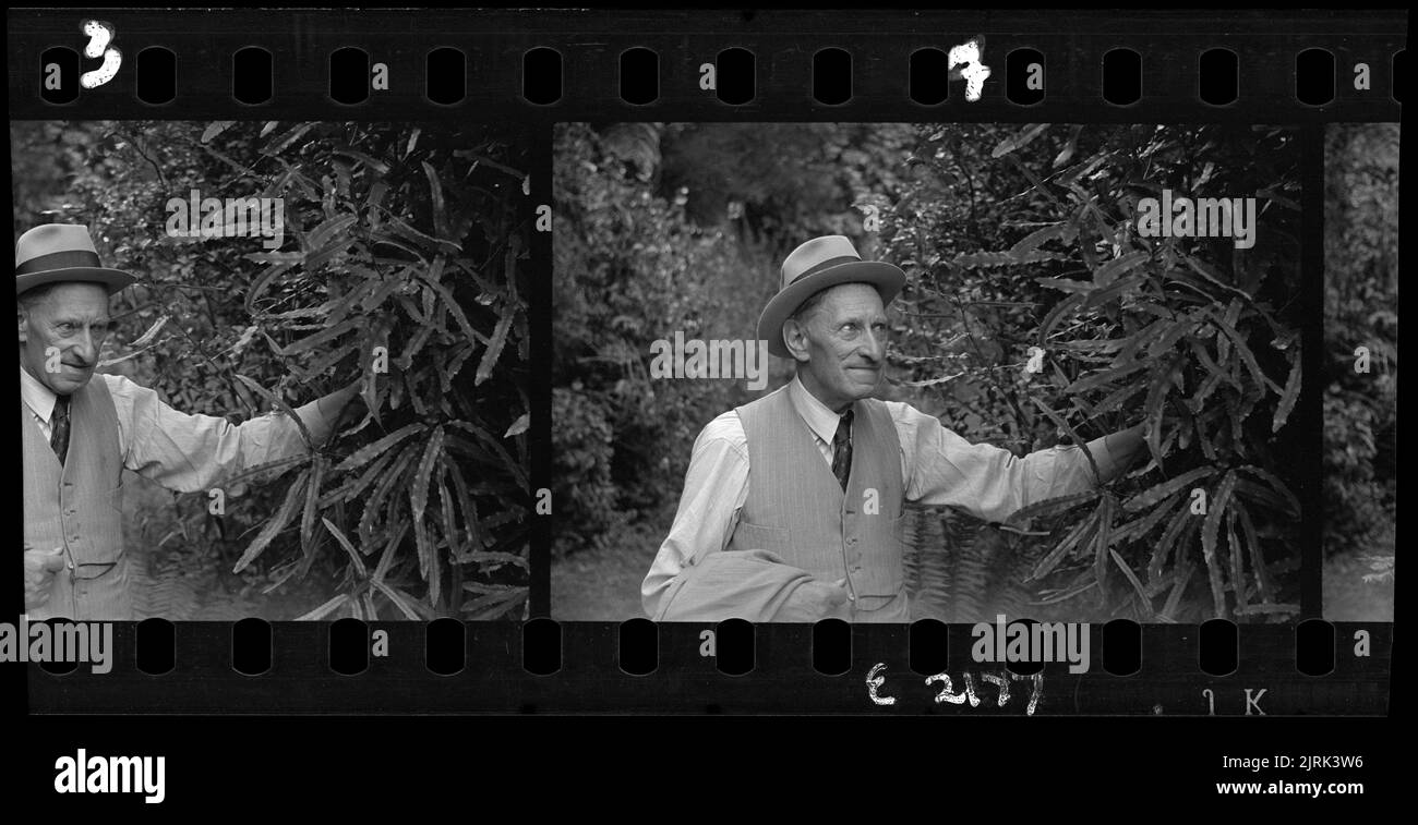 Johannes carl andersen johannes carl andersen hi-res stock photography ...