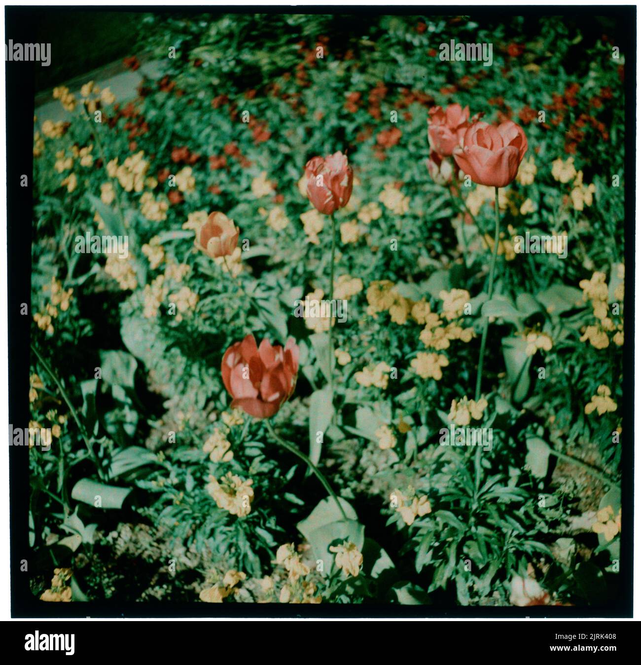 1935 40 Cut Out Stock Images & Pictures - Alamy