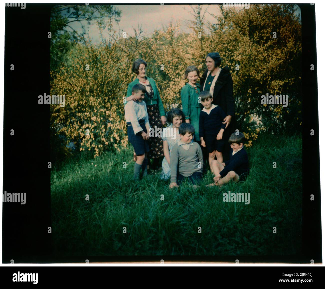 New zealand by w Cut Out Stock Images & Pictures - Alamy