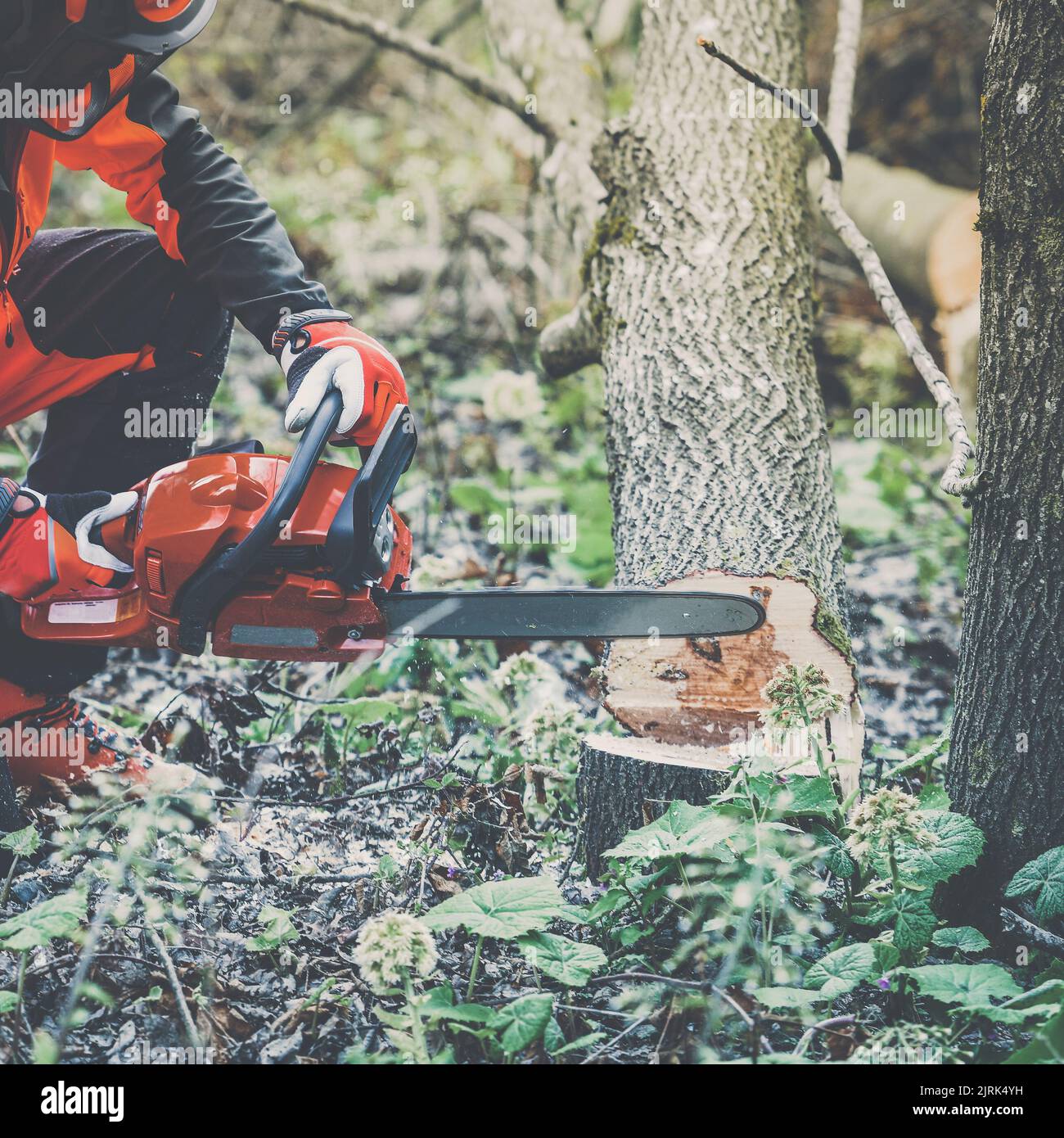 String sawing hi-res stock photography and images - Alamy