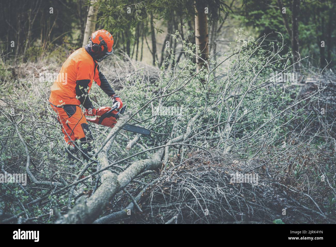 Forestry clearing saws hi-res stock photography and images - Alamy