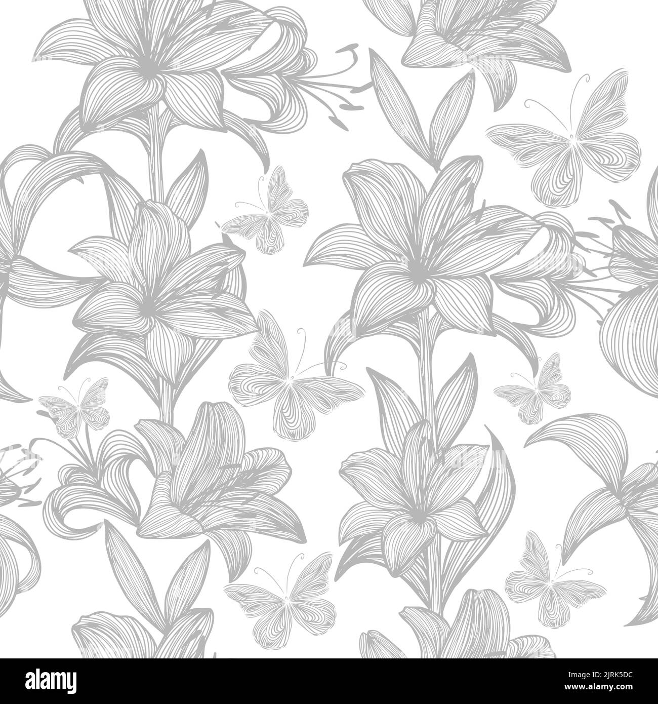 Lilies and butterflies gray graphic background. Vector illustration ...