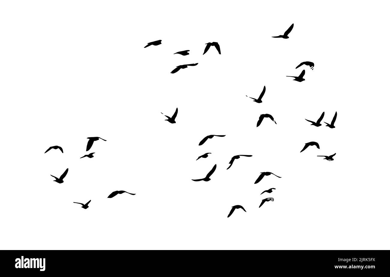 A flock of flying birds. Free birds. Vector illustration Stock Vector ...