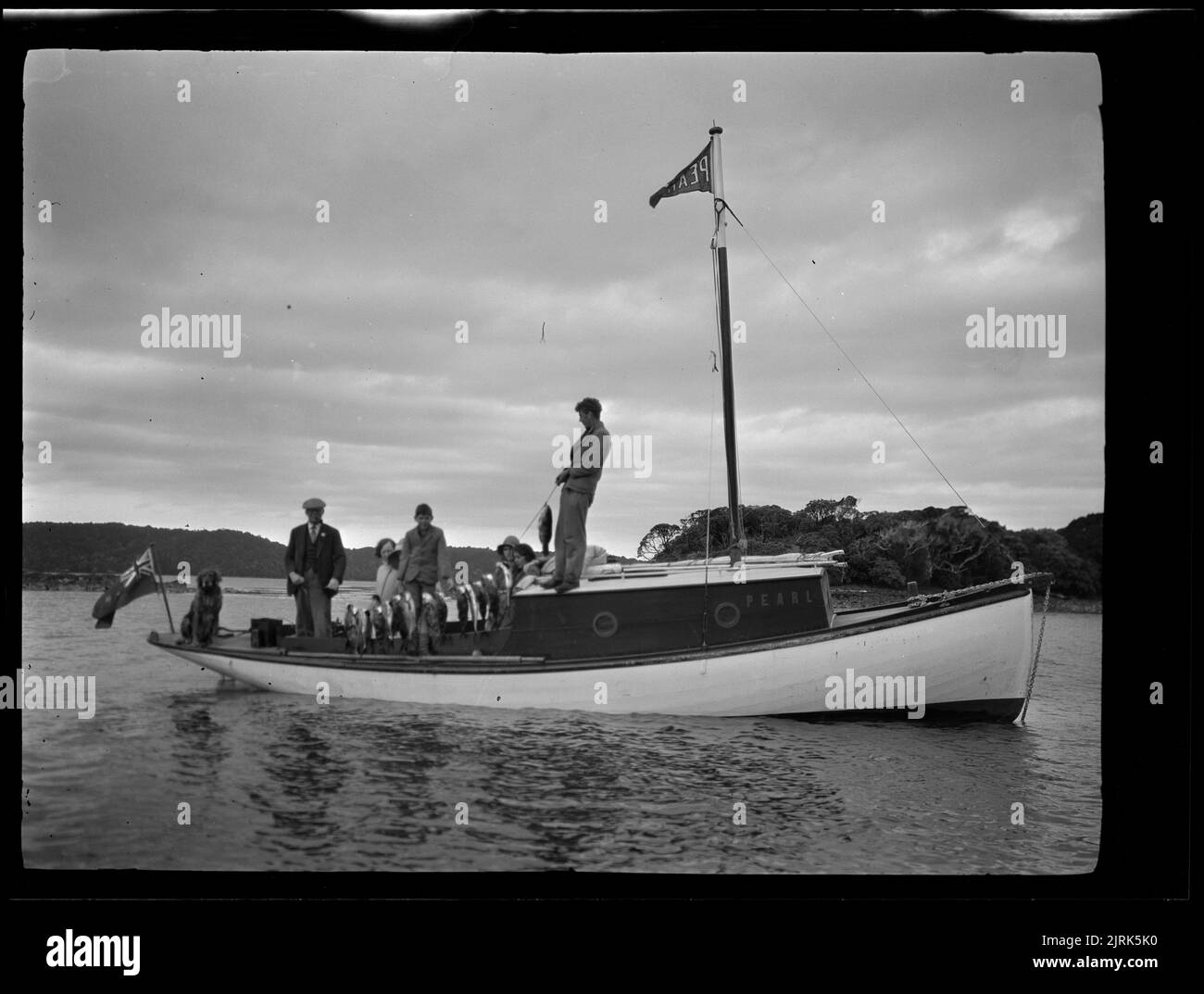 Penguin cargo penguin cargo hi-res stock photography and images - Alamy