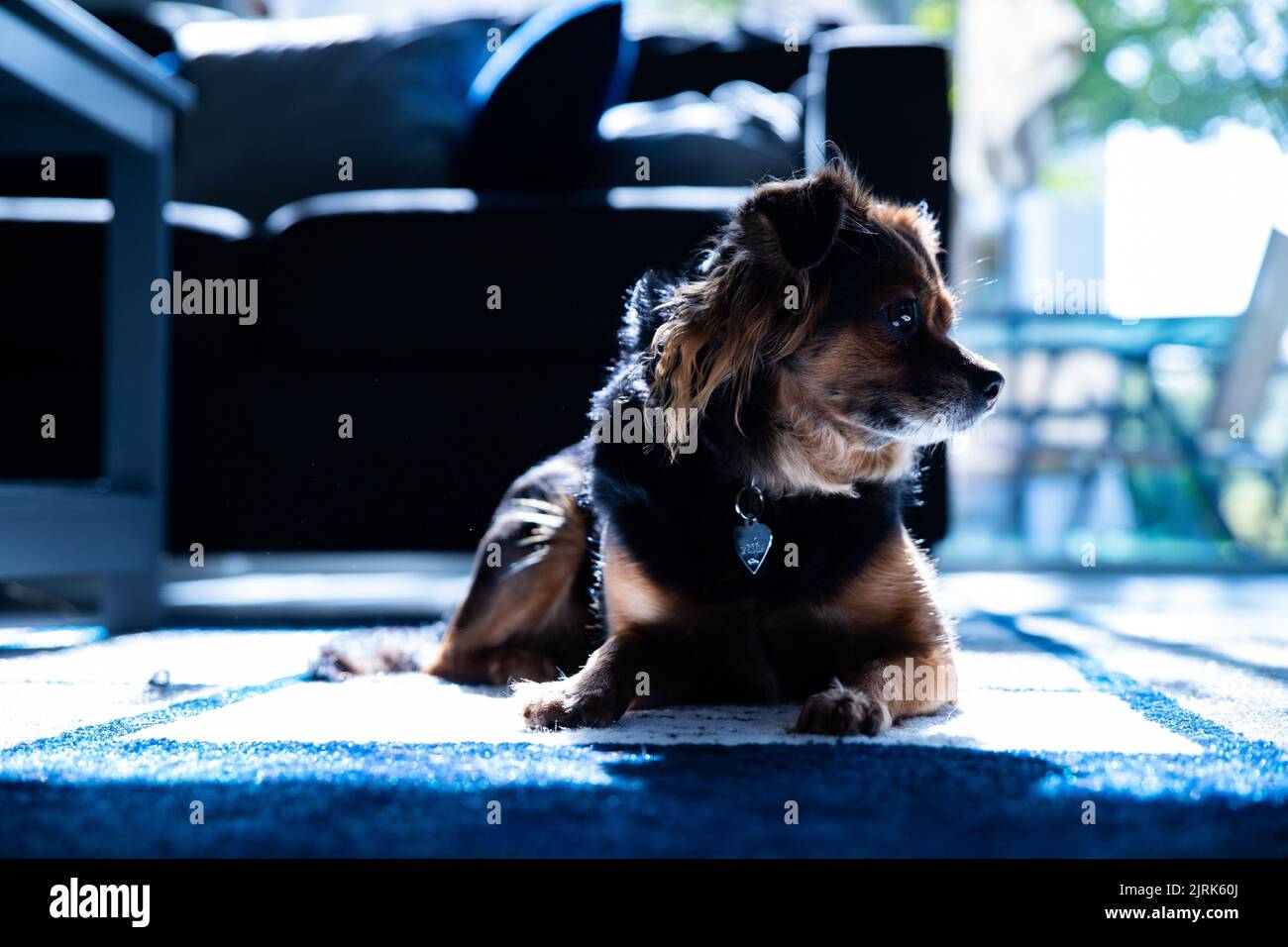 Ins side hi-res stock photography and images - Alamy