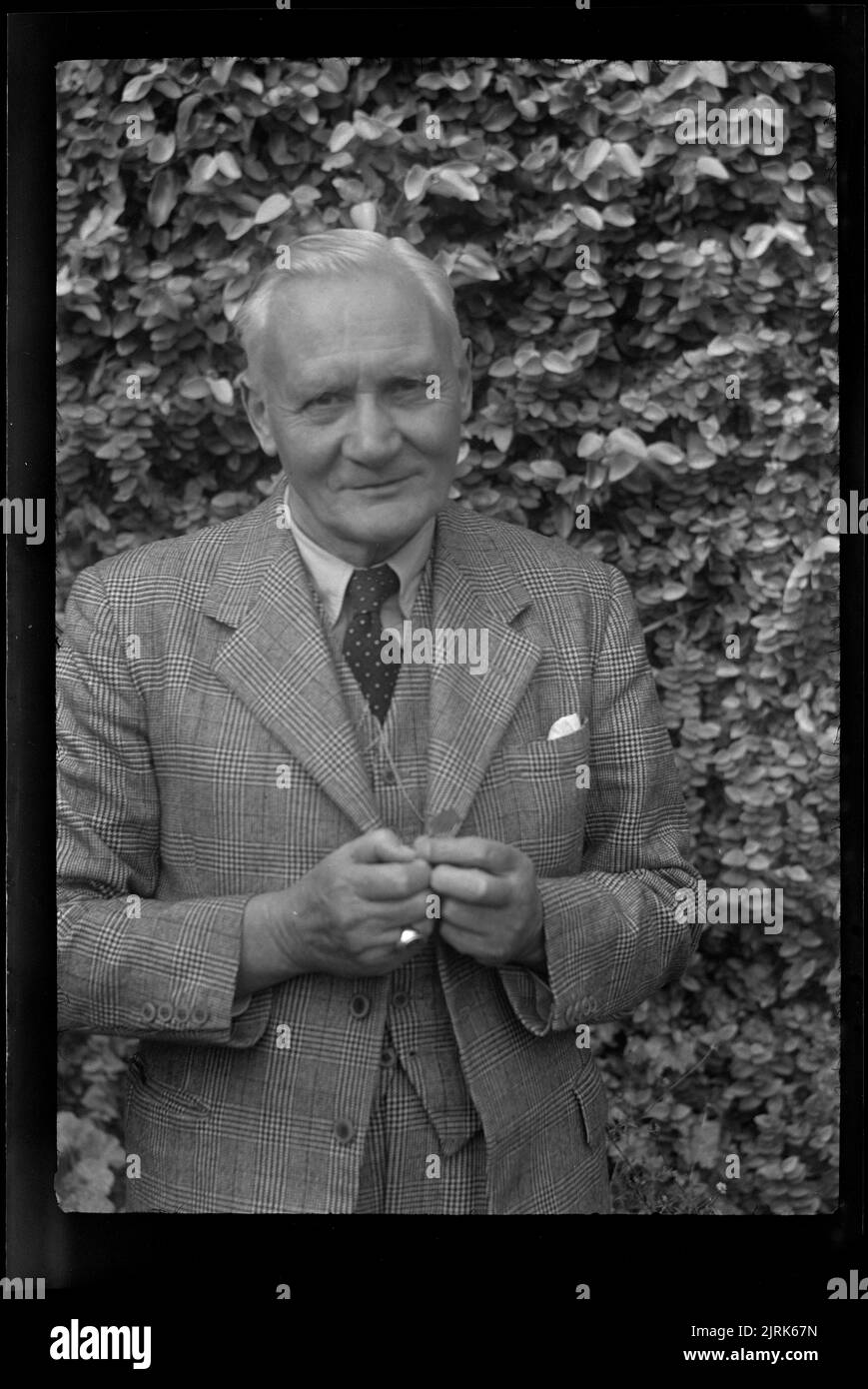 Untitled, New Zealand, by J.W. Chapman-Taylor Stock Photo - Alamy