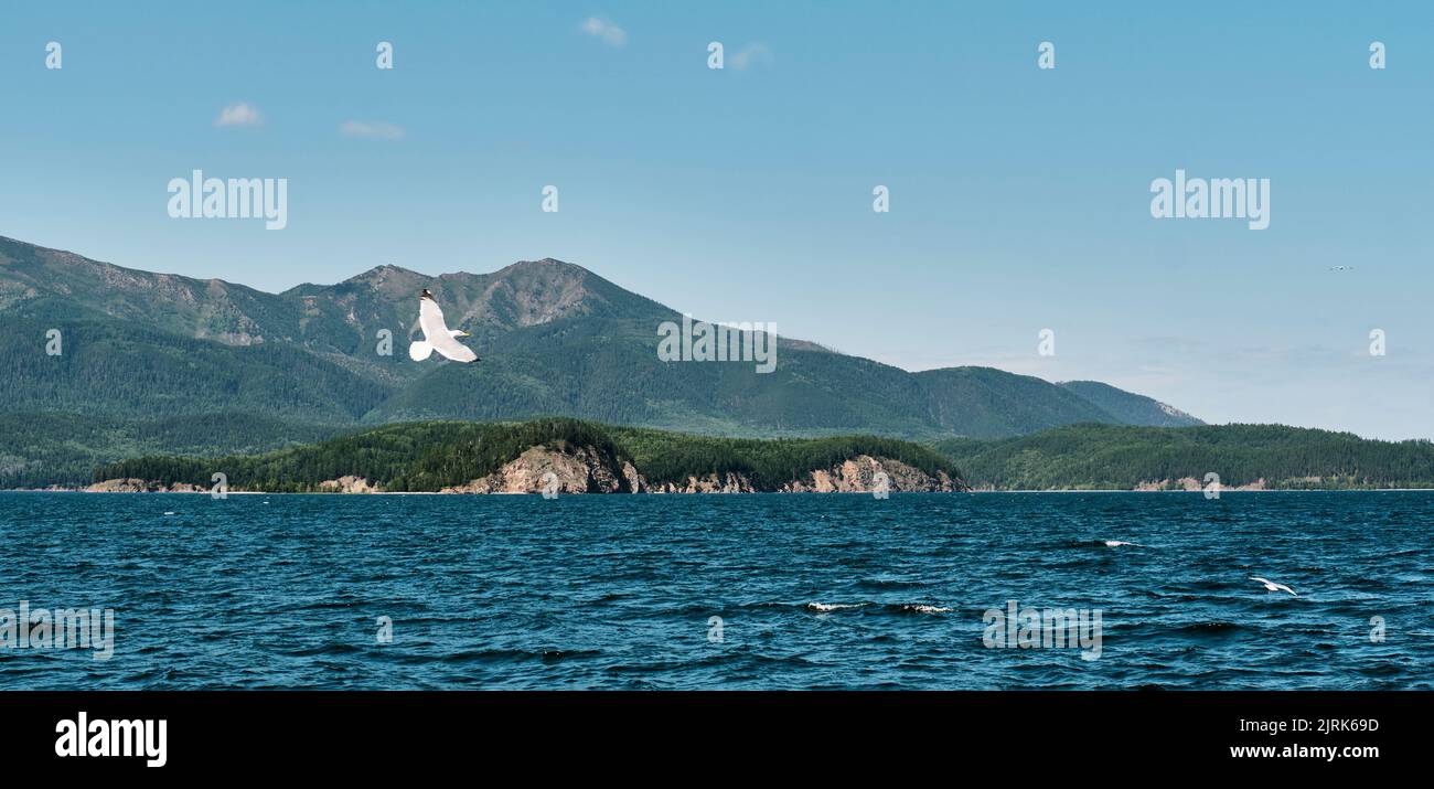 Chivyrkuisky Bay of Lake Baikal.Bolshoy Kyltygey island. Zabaikalsky ...