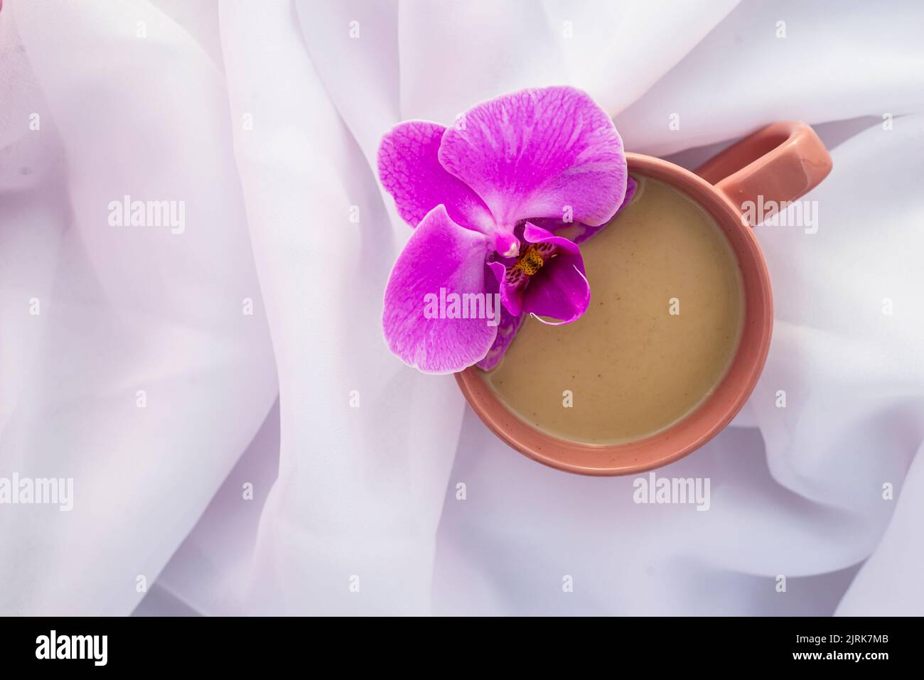 violet orchid flower pink cup of latte coffee with milk white Tulle ...