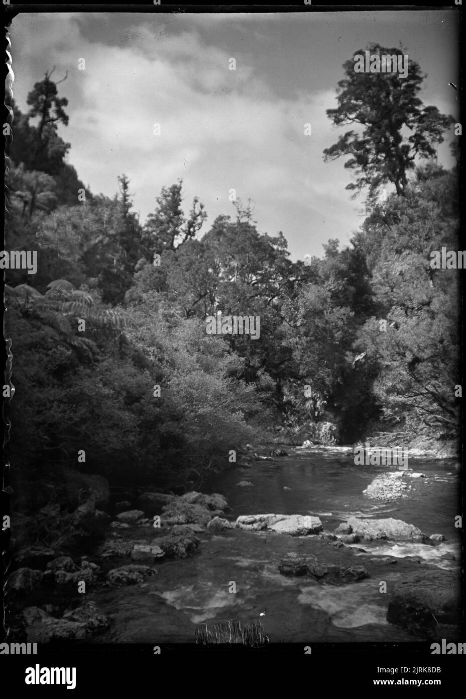 Chapman new zealand hi-res stock photography and images - Alamy