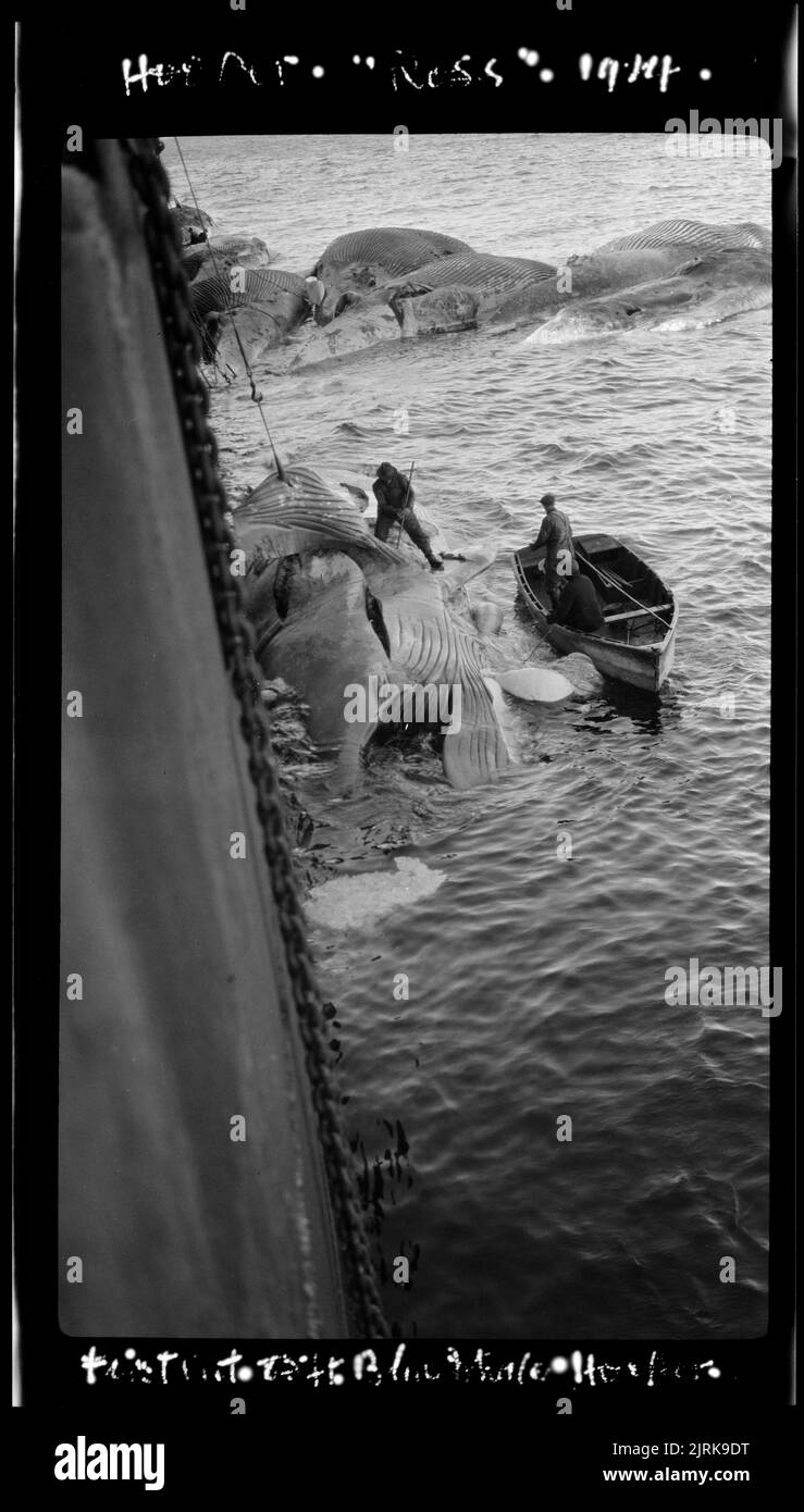 Captain george samuel hooper hi-res stock photography and images - Alamy