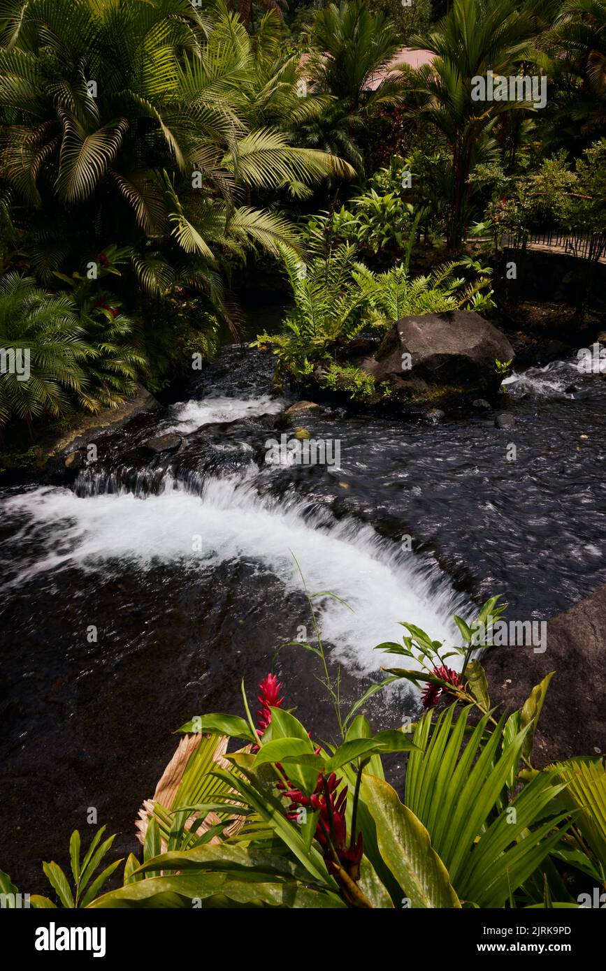 The Tabacon Hot Springs, geothermal waterfall in La Fortuna Arenal ...