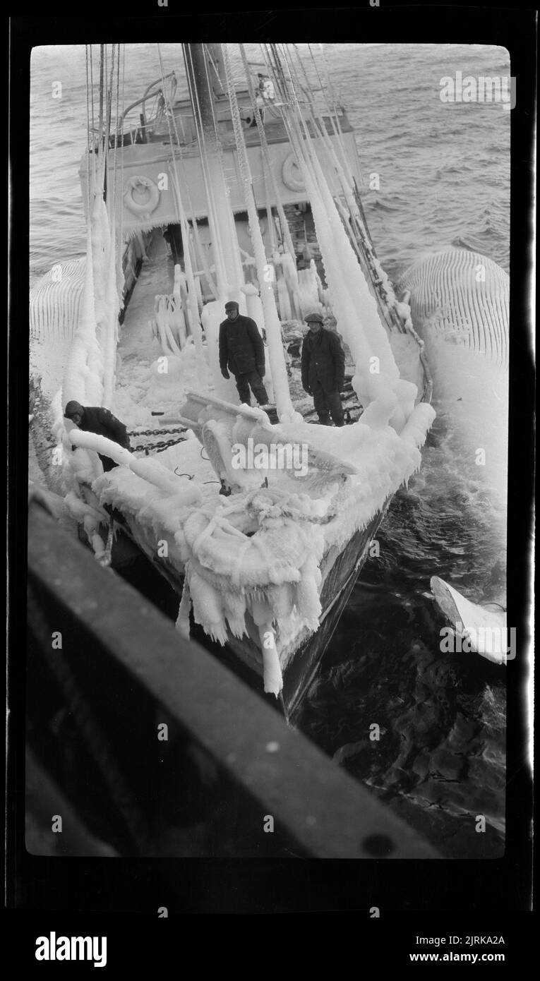 Whaling in the ross sea whaling in the ross sea hi-res stock ...