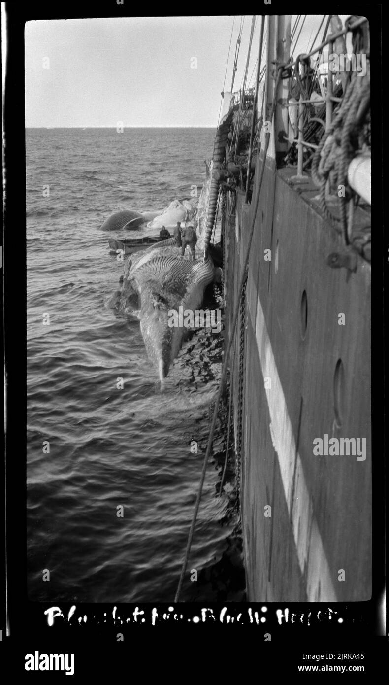 By captain geor hi-res stock photography and images - Alamy