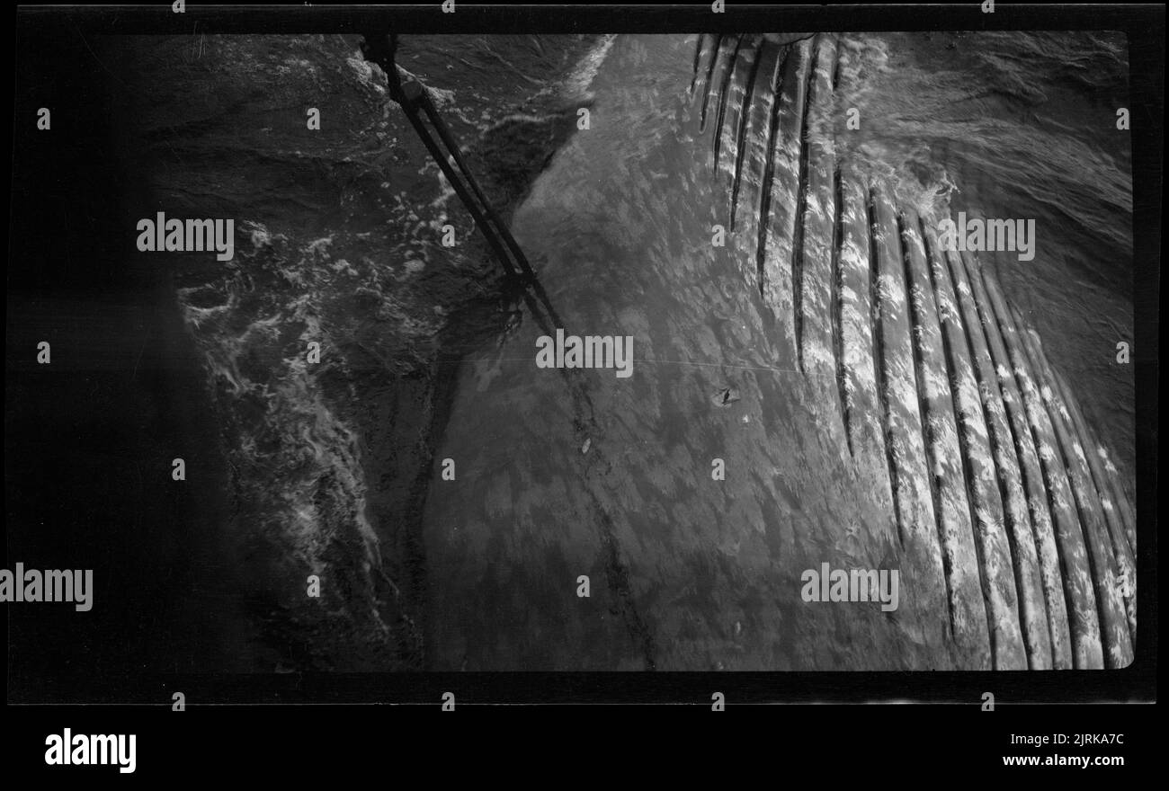 Whaling in the ross sea whaling in the ross sea hi-res stock ...