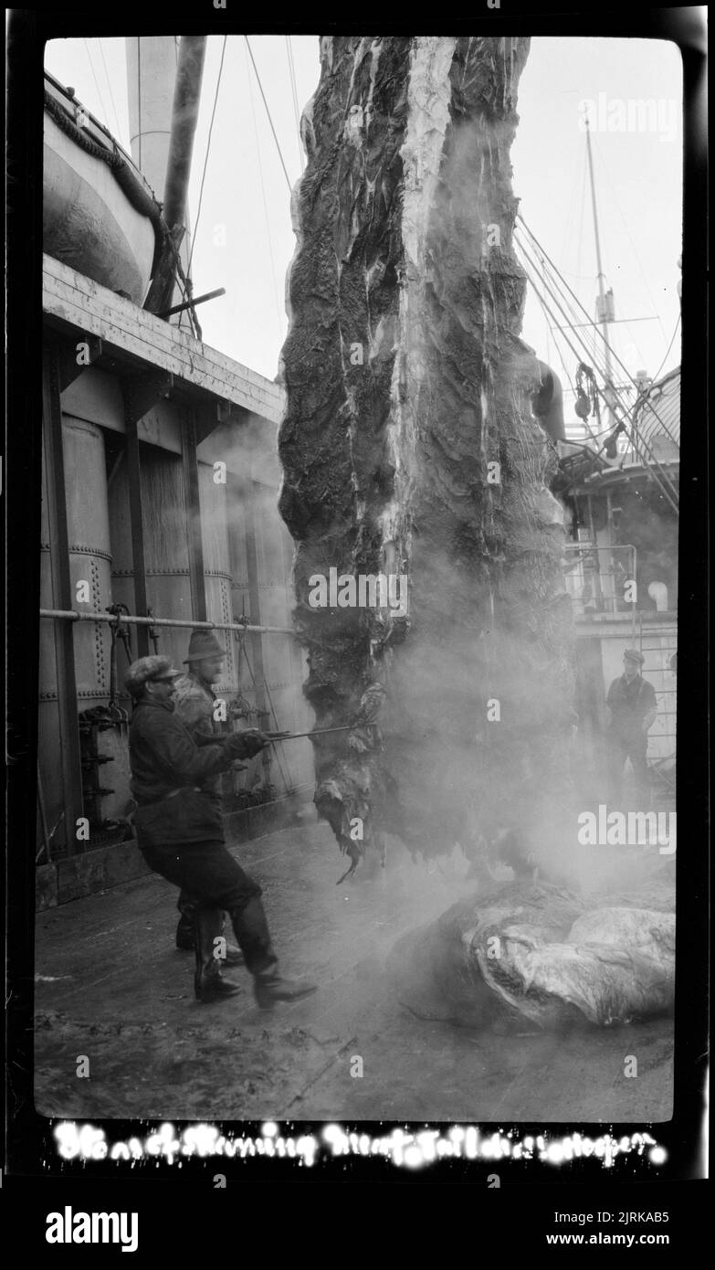 Whaling in the ross sea whaling in the ross sea hi-res stock ...