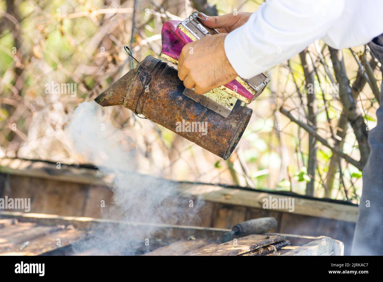 Beekeeper holding frame Background texture pattern section wax Bees ...