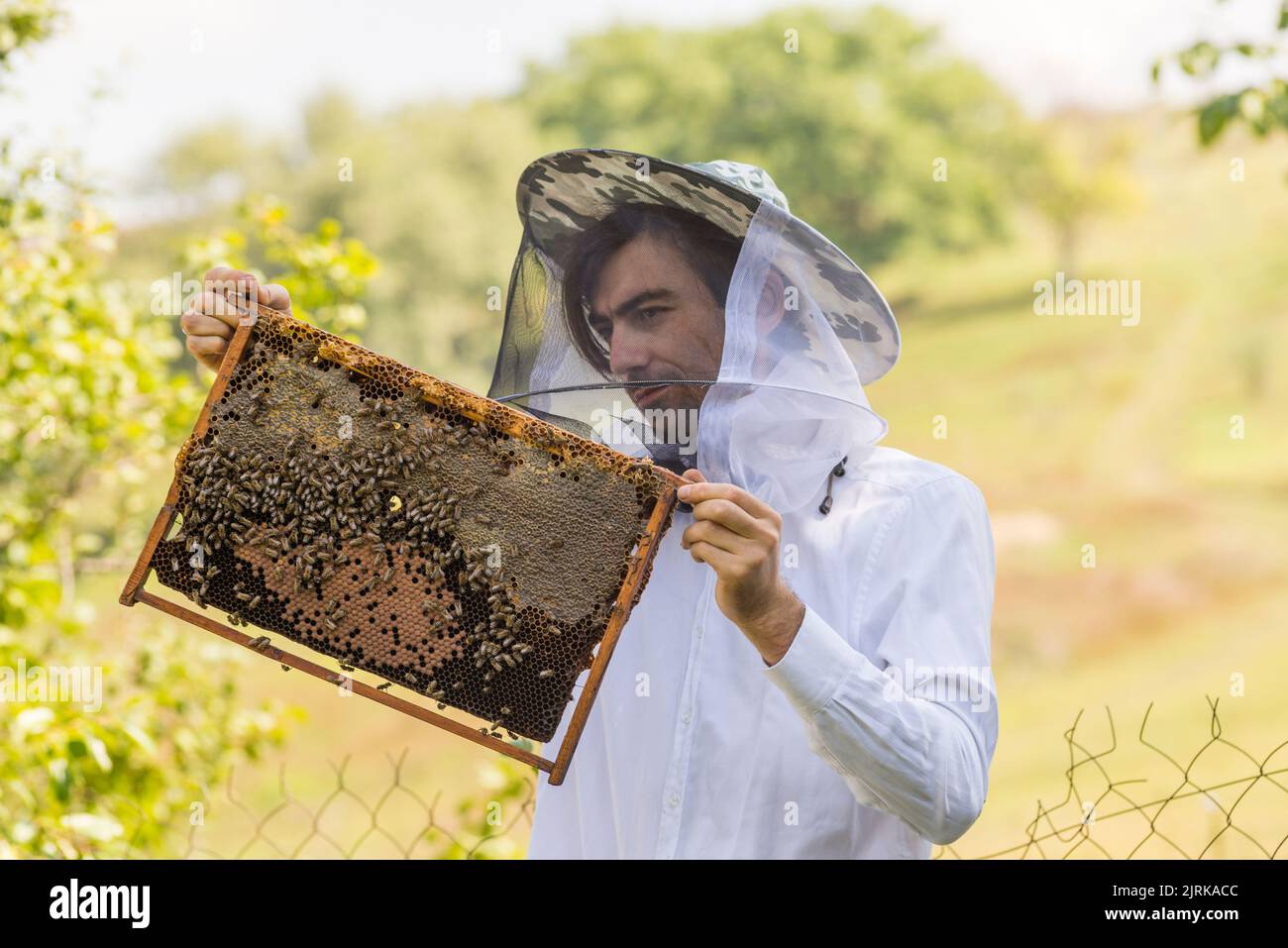 Beekeeper holding frame Background texture pattern section wax Bees ...