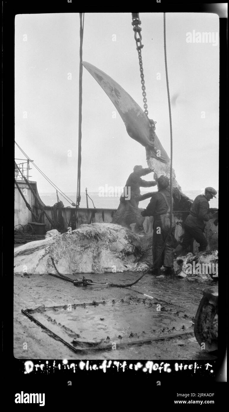 Whaling in the ross whaling in the ross hi-res stock photography and ...