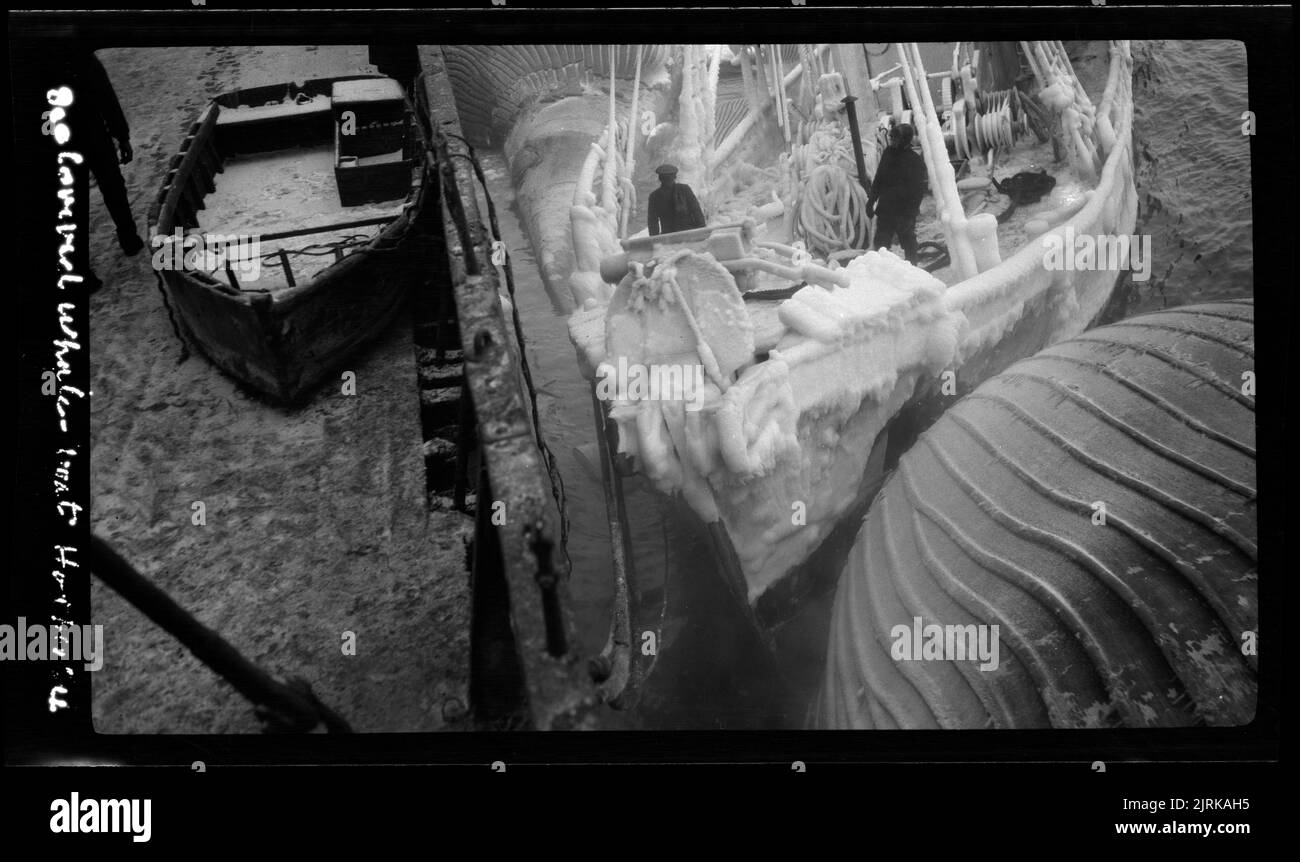 Whaling in the ross sea whaling in the ross sea hi-res stock ...