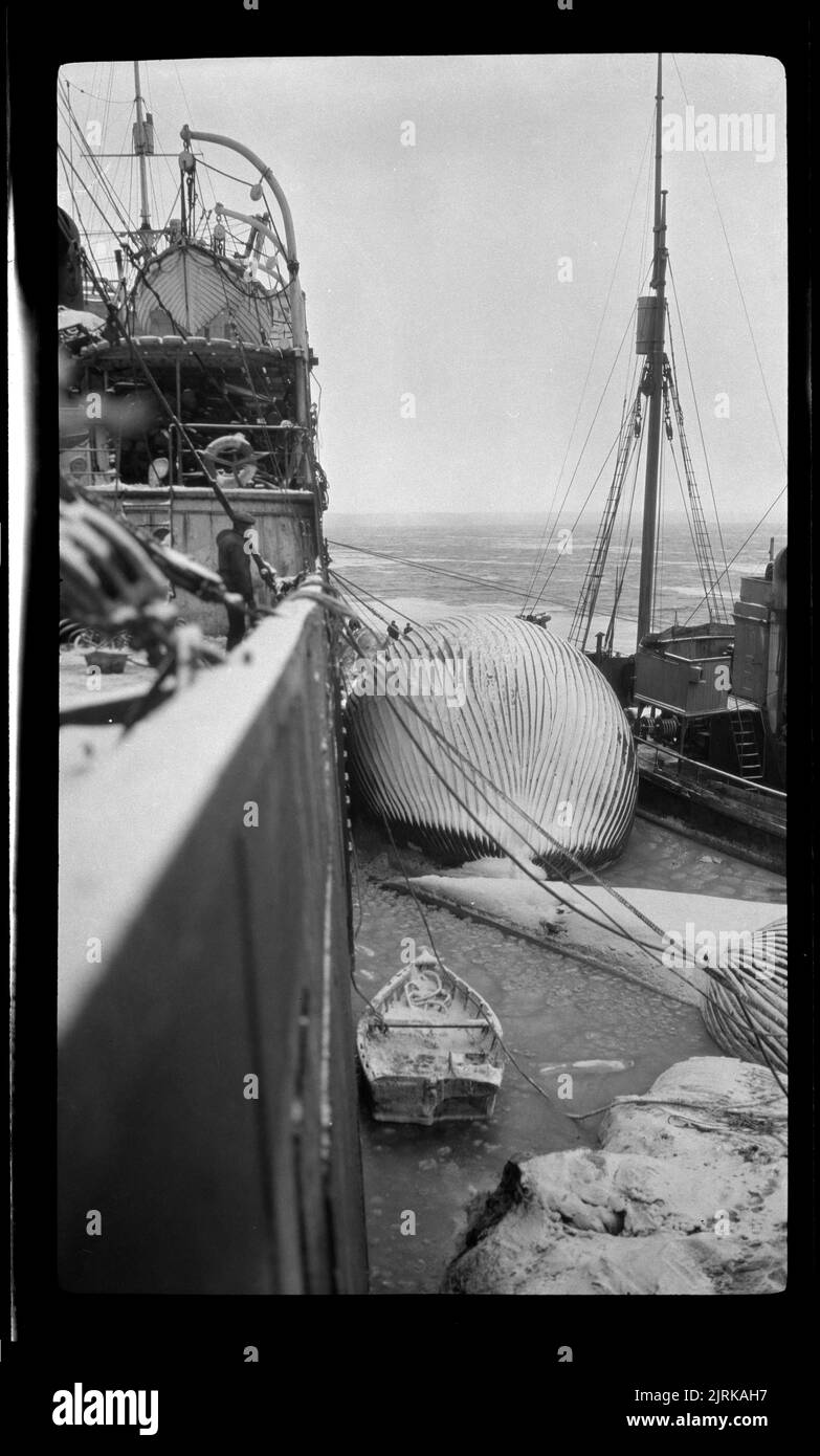 Captain george samuel hooper hi-res stock photography and images - Alamy