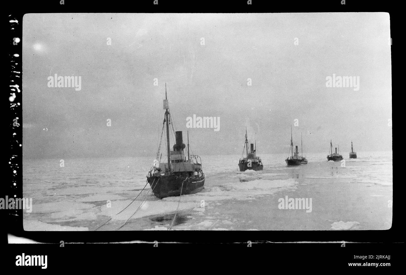 Whaling in the ross sea whaling in the ross sea hi-res stock ...