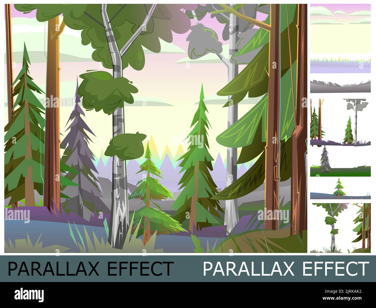 Birch in pine forest. Beautiful scene in nature. Nice summer landscape ...