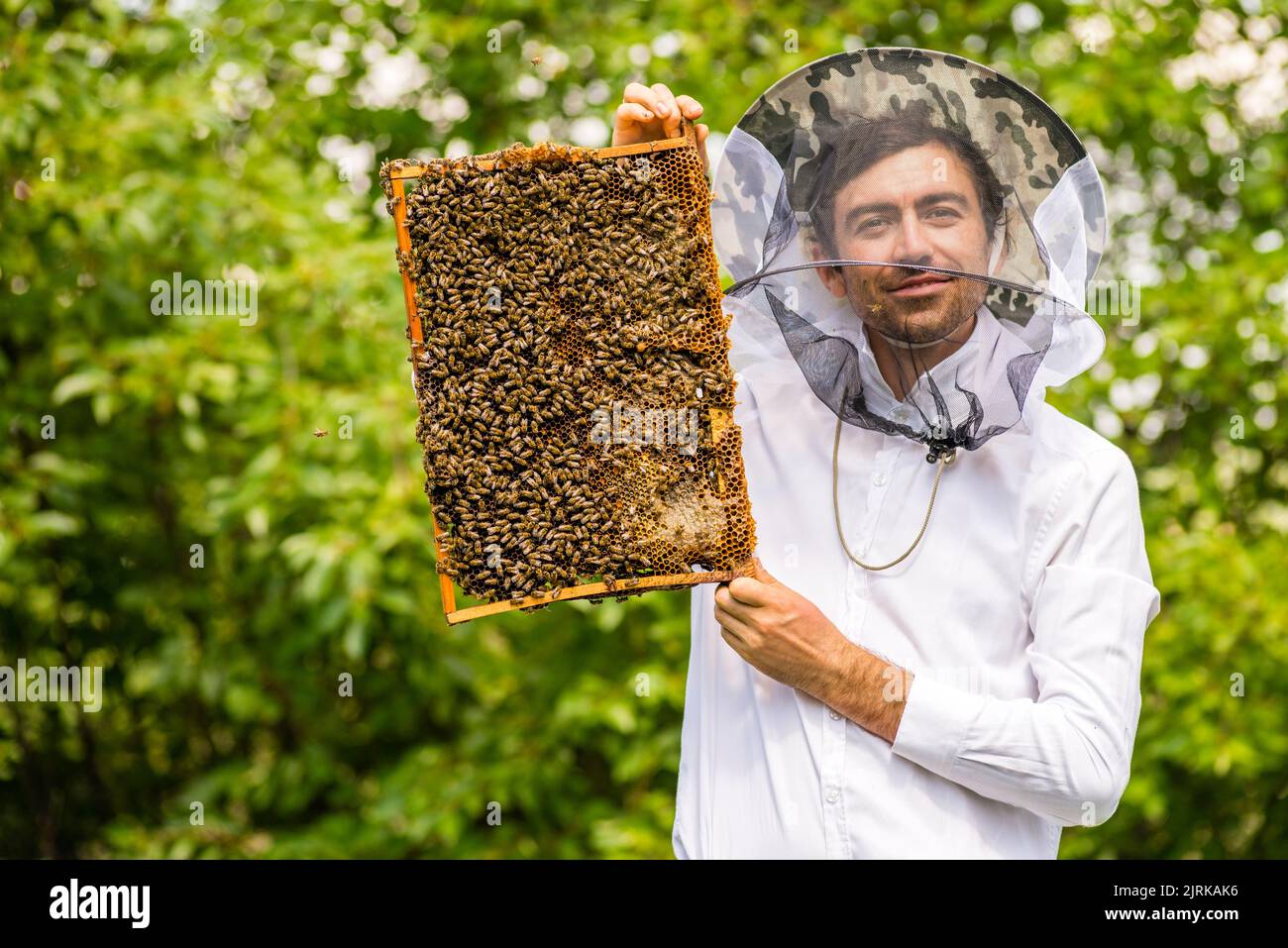 Beekeeper holding frame Background texture pattern section wax Bees ...