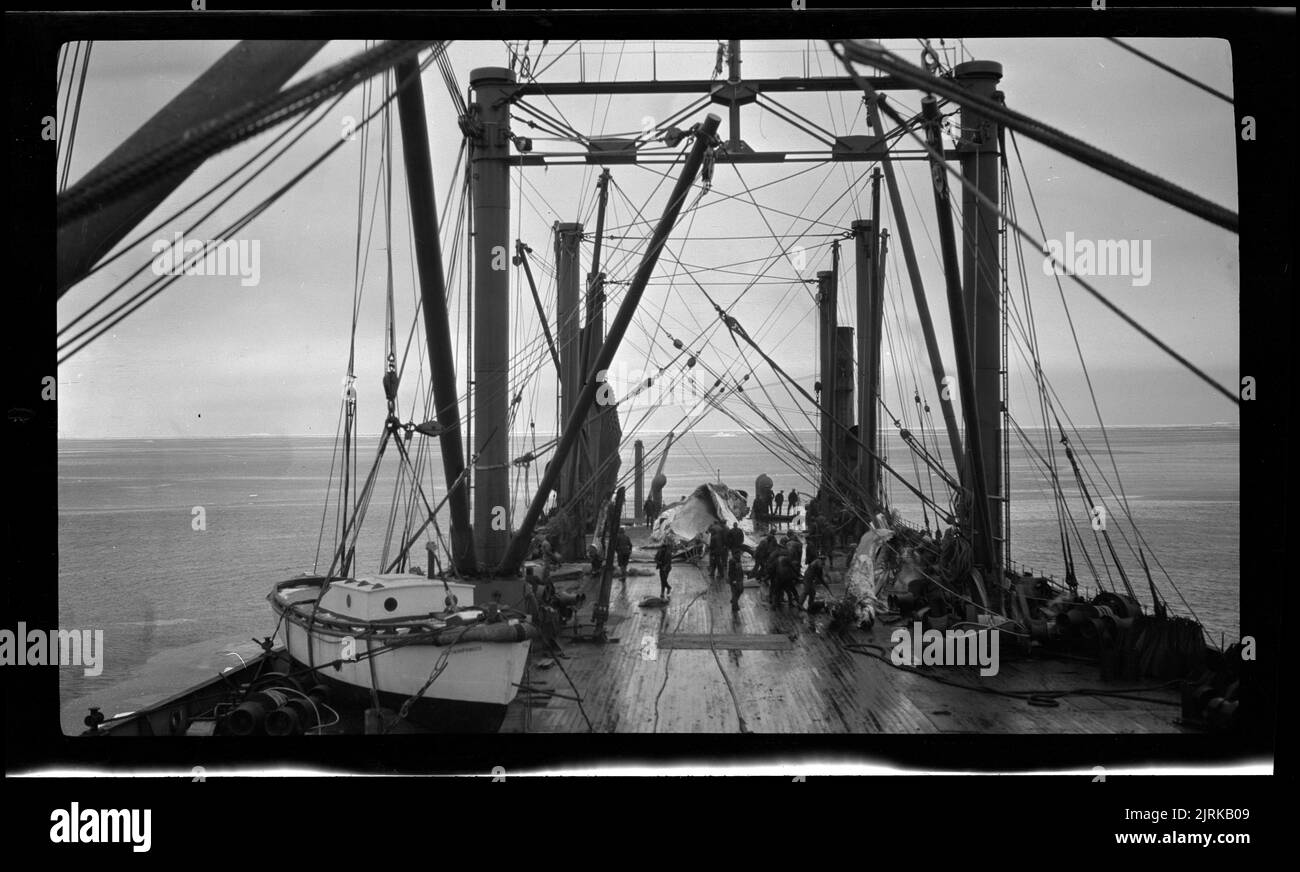 Whaling in the ross sea whaling in the ross sea hi-res stock ...