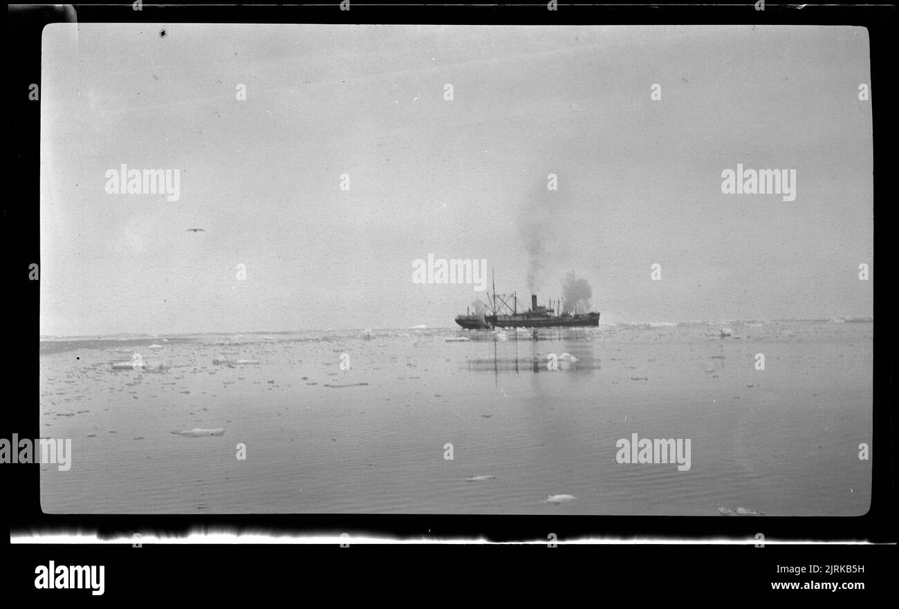 Whaling in the Ross sea, 1924, Southern Ocean, by Captain George Samuel ...