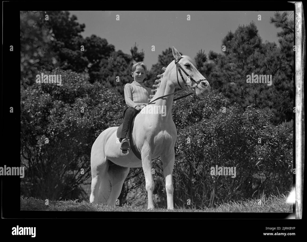 Simon Galway horseriding in the grounds of Government House, Wellington ...