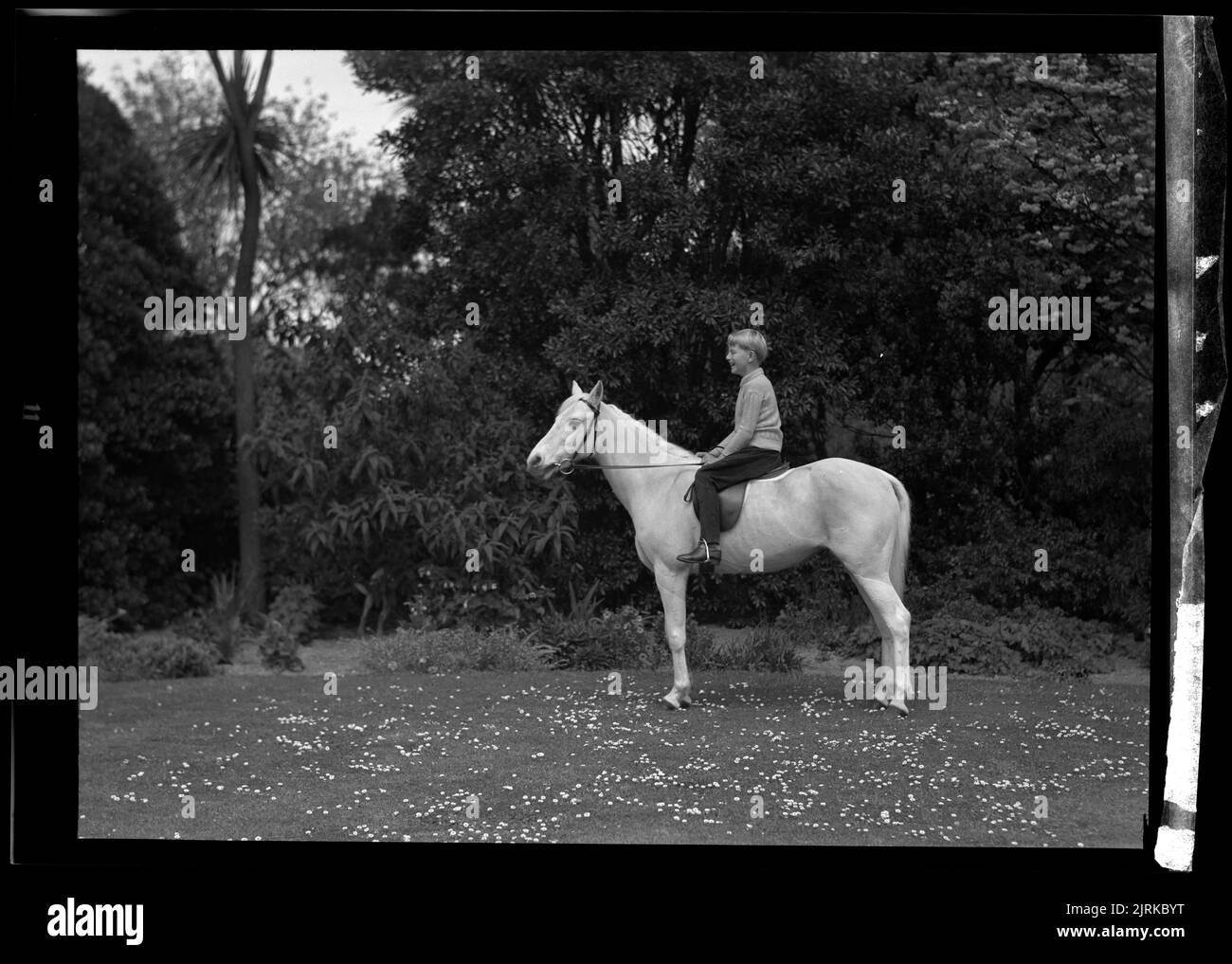Simon Galway horseriding in the grounds of Government House, Wellington ...
