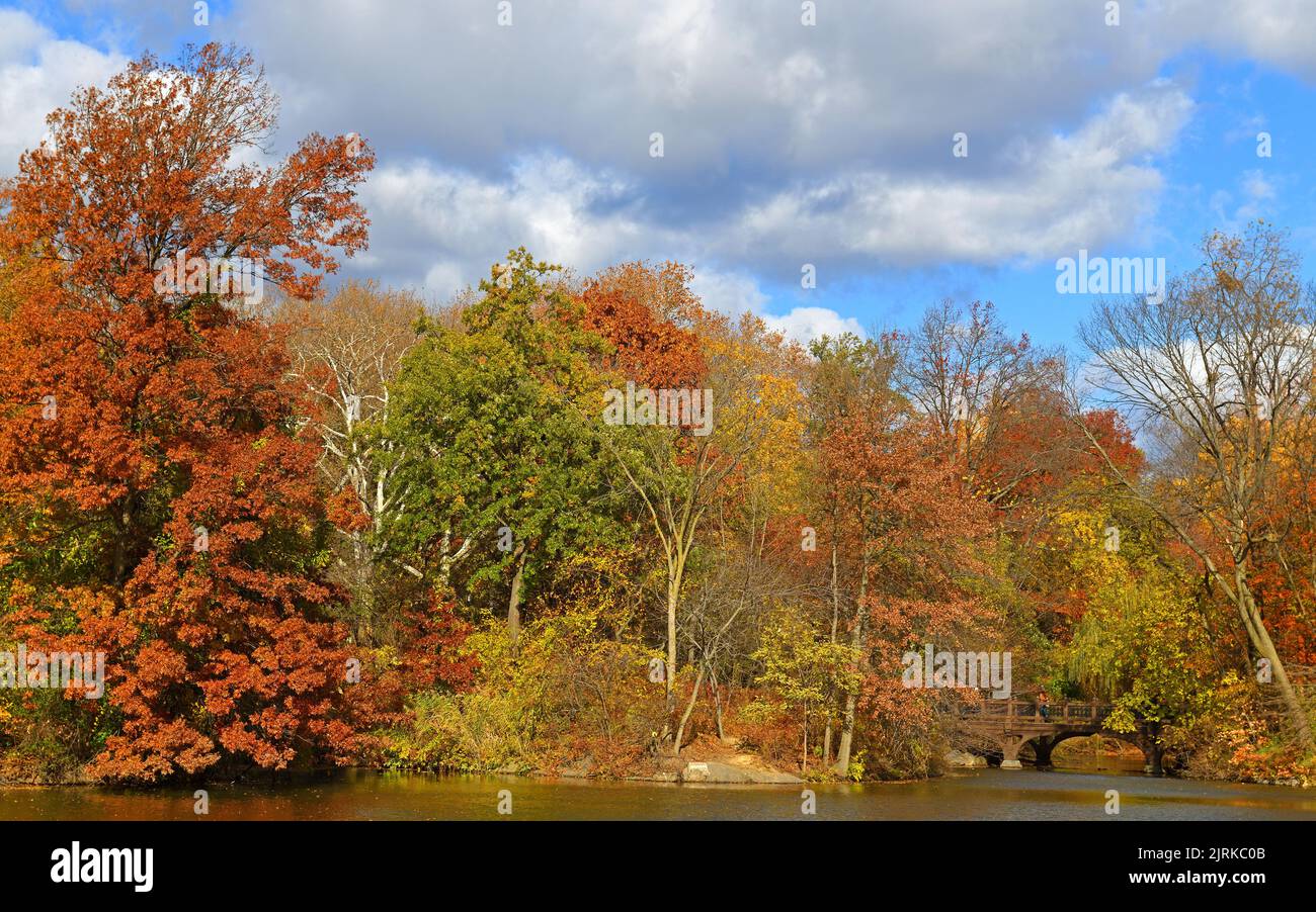 Spanning mouth of Back Rock Bay at northernmost tip of Lake, Oak Bridge ...