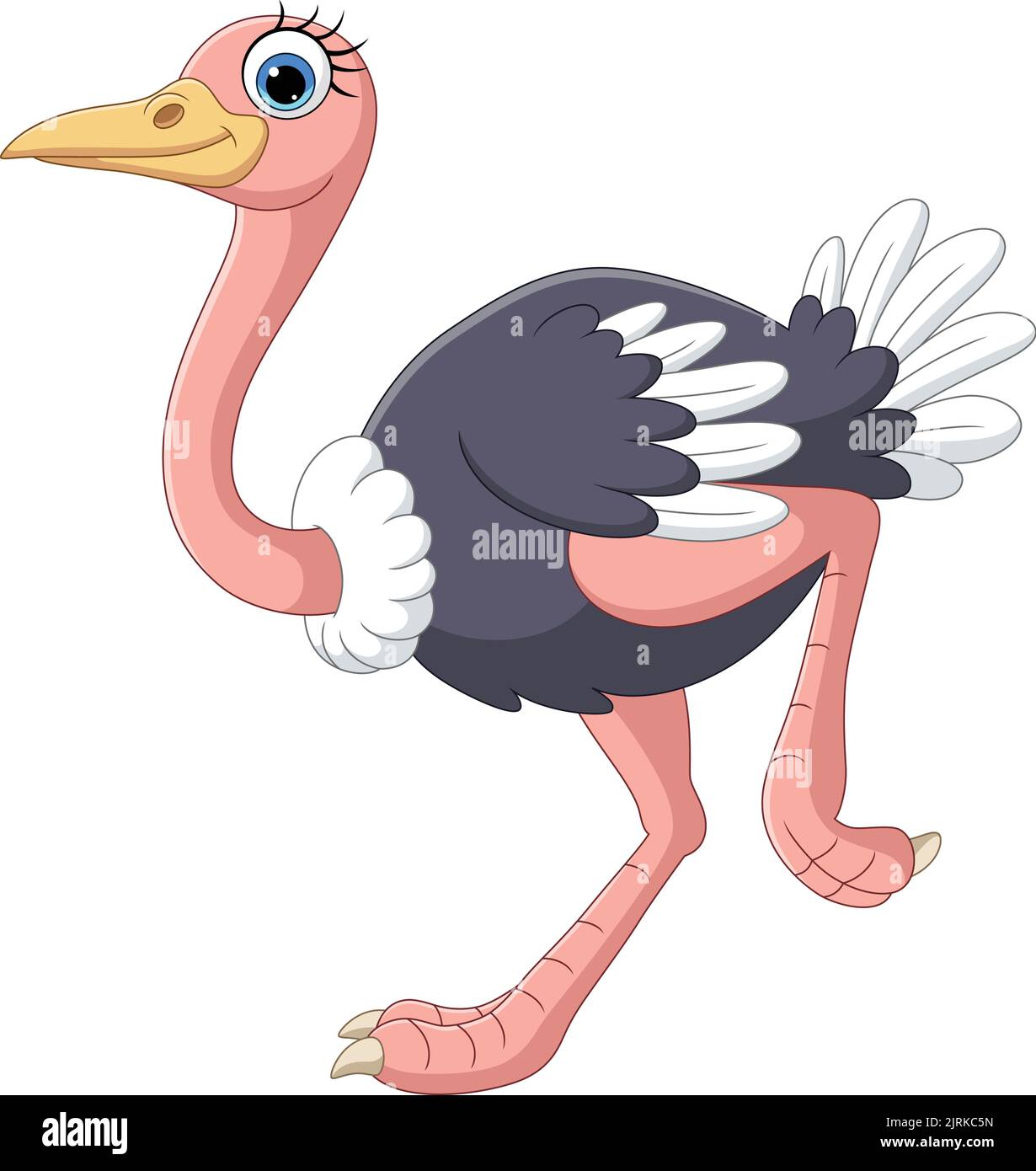 Cartoon ostrich running on white background Stock Vector Image & Art ...