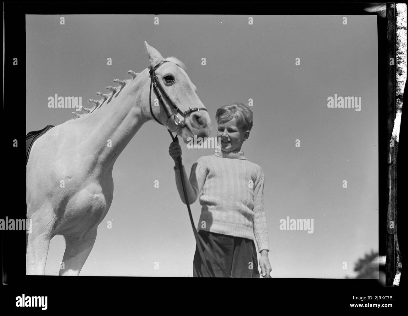 Simon Galway holding horse in grounds of Government House, Wellington ...