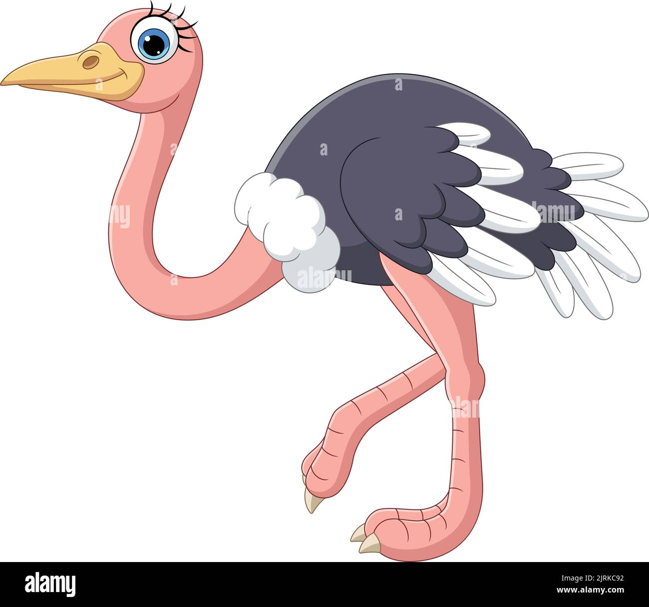 Cartoon ostrich on white background Stock Vector Image & Art - Alamy