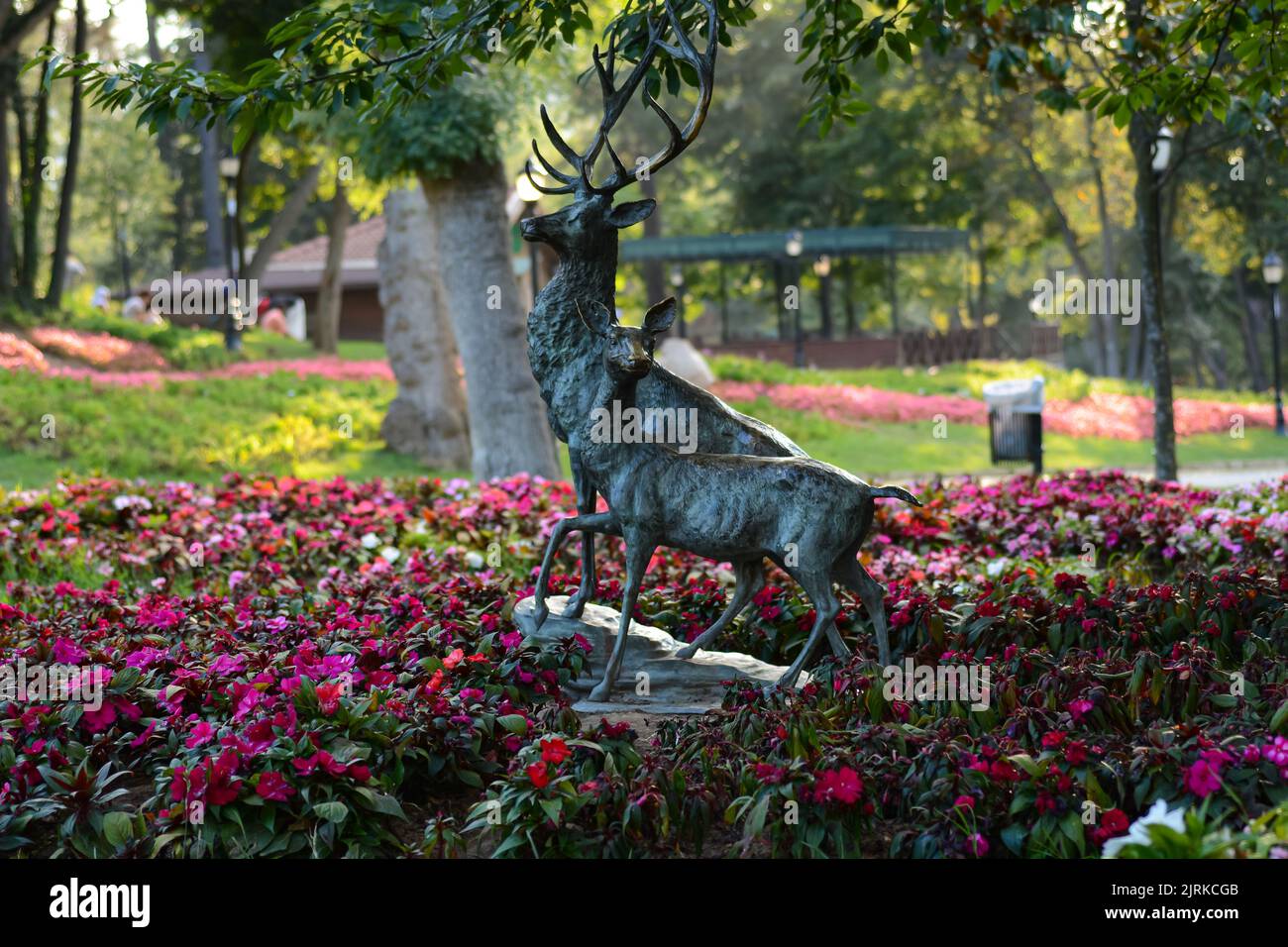 Whitetail deer tree spring hi-res stock photography and images - Alamy