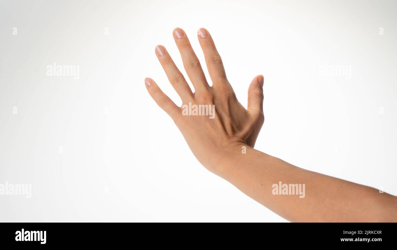 Female hand gesture give five back side of the palm Stock Photo - Alamy