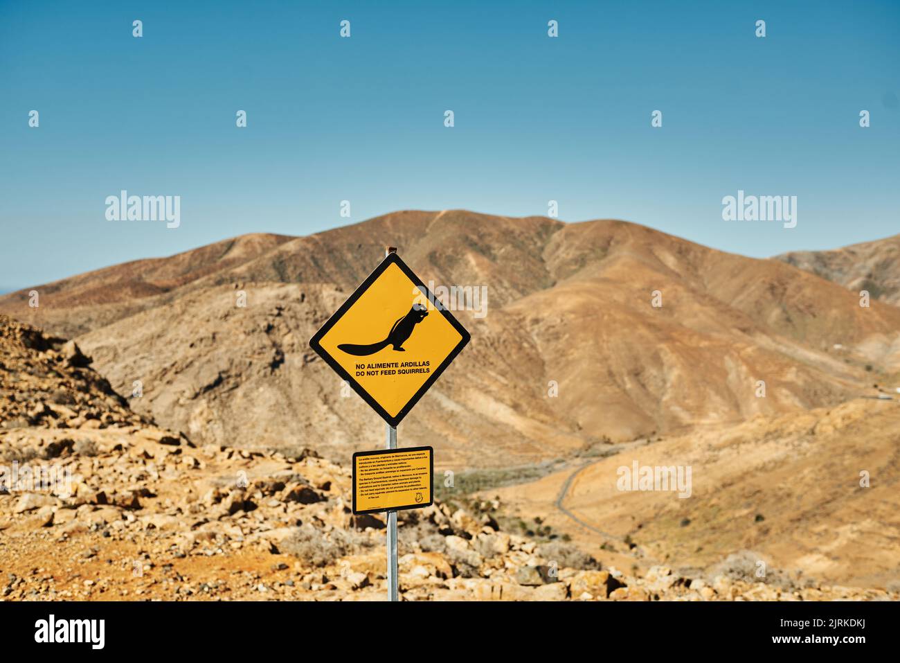 Yellow road signs with animal illustration and information against ...