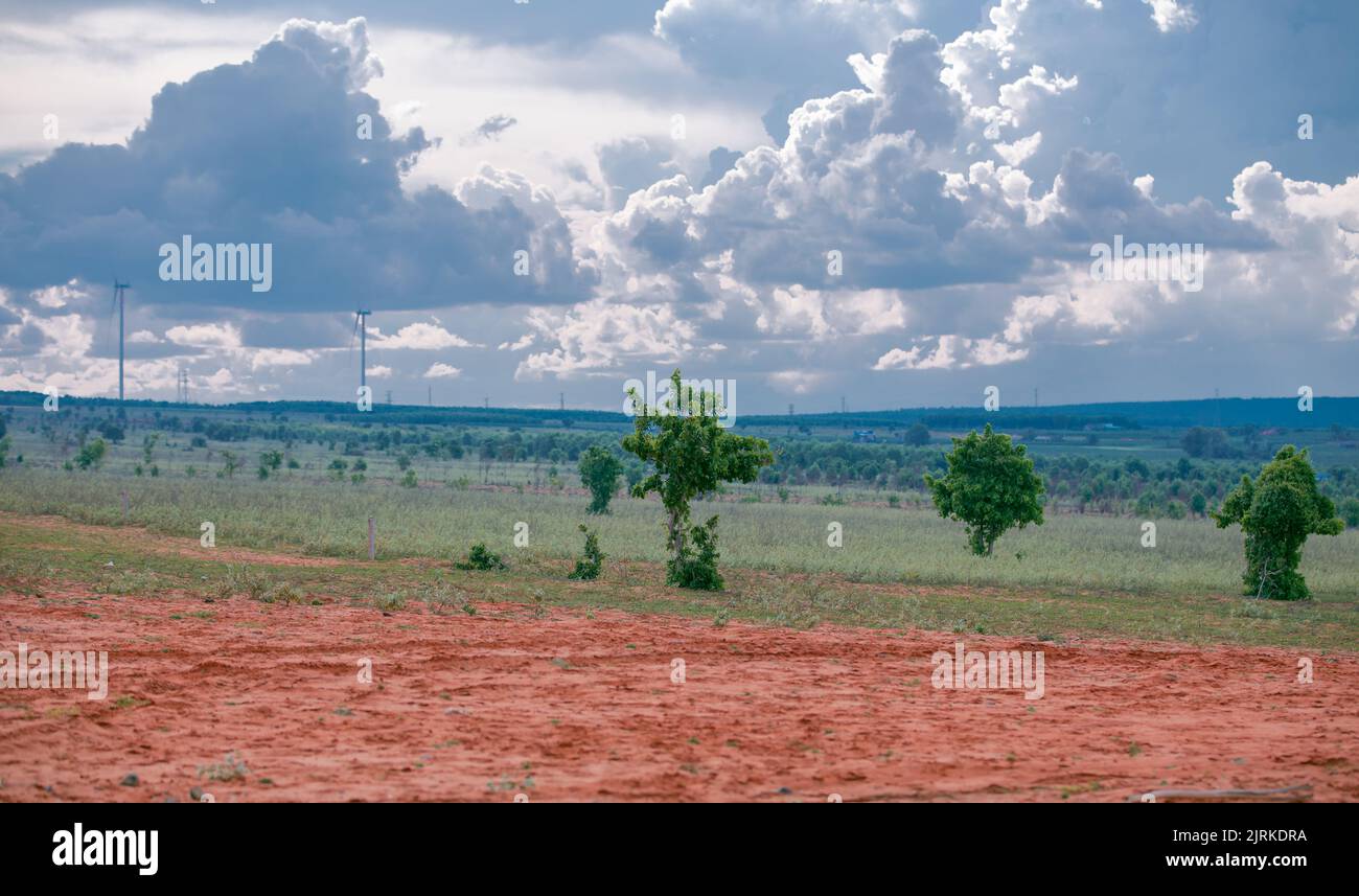 Peaceful field hi-res stock photography and images - Alamy