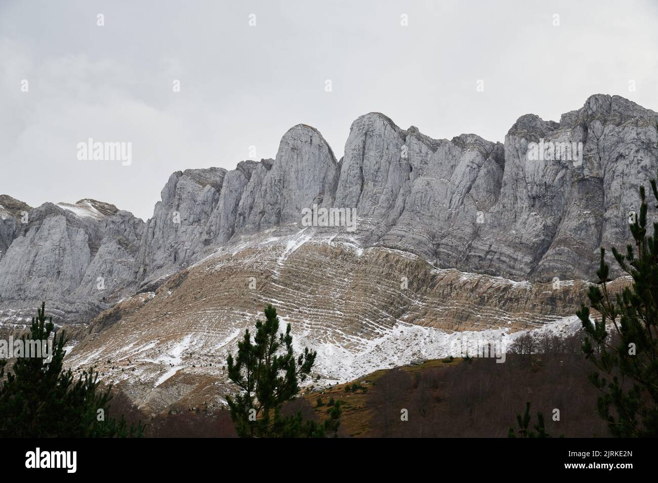 Forest with green coniferous trees growing near rough high mountain ...