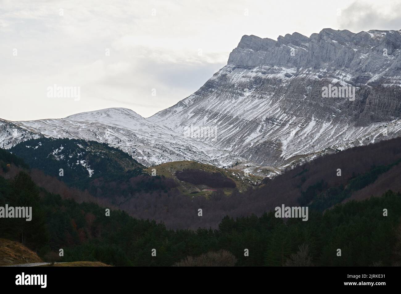 Forest with green coniferous trees growing near rough high mountain ...