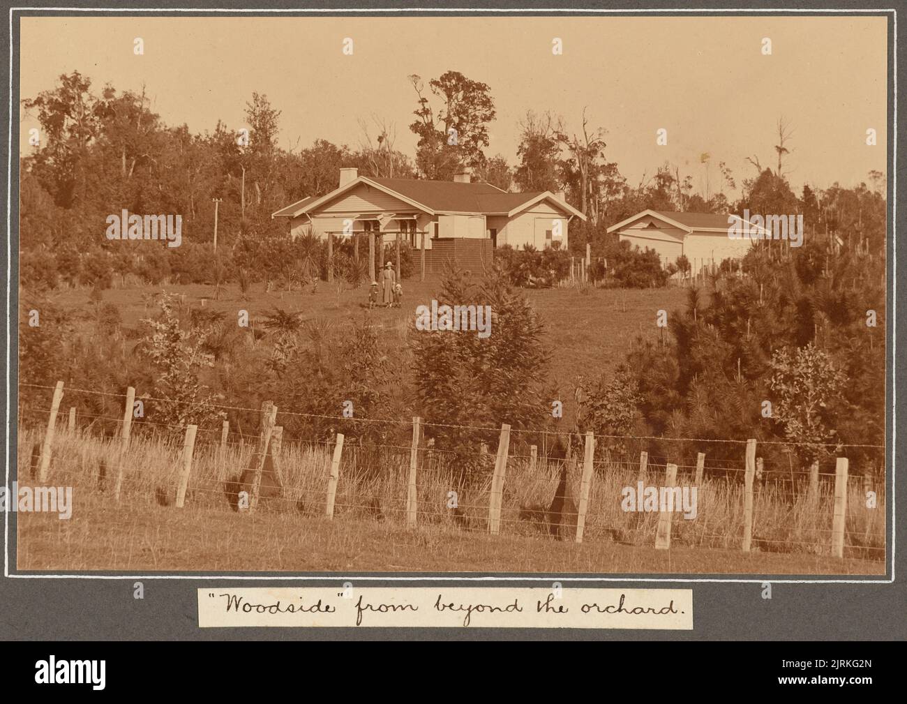 At "Woodside", Queen Street East, Levin: "Woodside" from beyond the ...